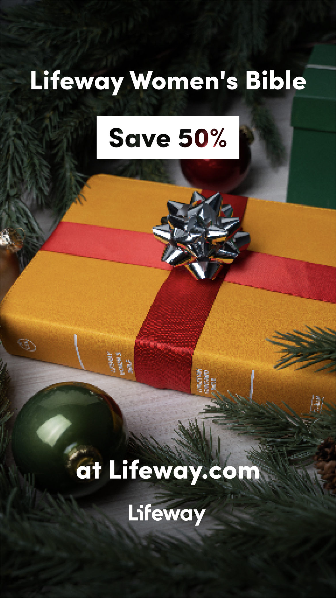Lifeway Women's Bible will Make a Great Gift Idea